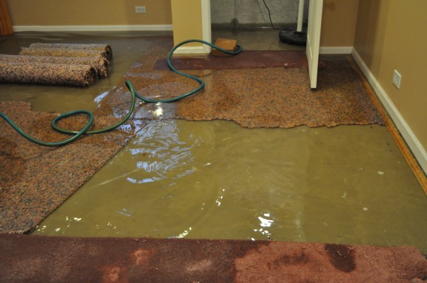 A True Tale About Water Backup of Sewers and Drains Coverage - Central ...